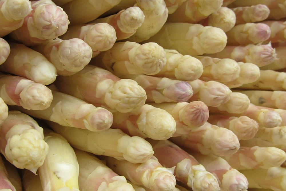 Asperges, handig om te weten - Kook Rubriek